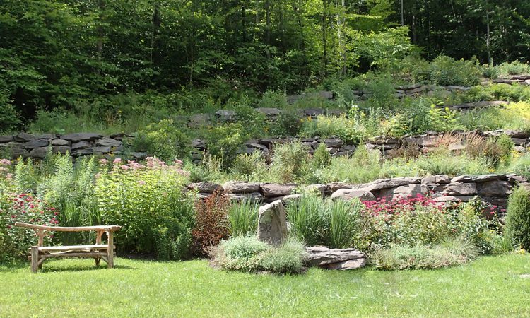 A Woodland Landscape and Haven for Birds